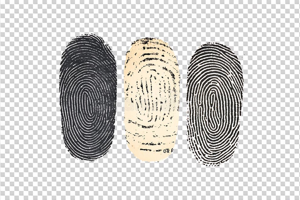 Three Different Fingerprints are Shown Each Isolated on White or ...