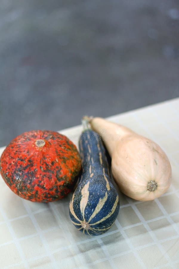 Different Gourds stock image. Image of ingredient, color - 202208059