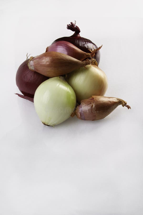 Three Different Kinds of Onions Stock Image - Image of grocery, organic ...