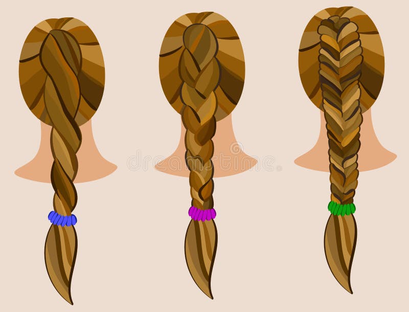 Three Color Braid Stock Illustrations – 19 Three Color Braid Stock ...