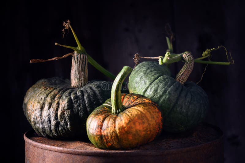 Three Different Types of Pumpkins on an Old Rusty Barrel Stock Image ...