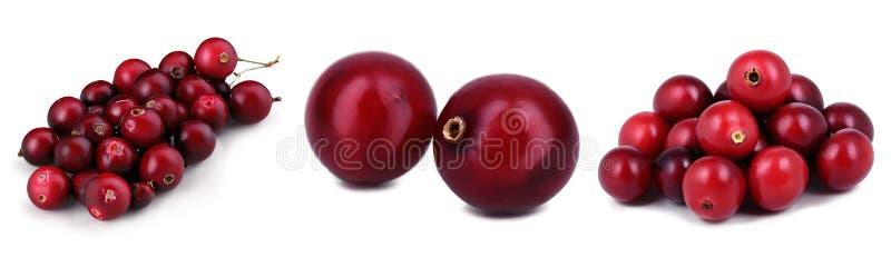 Three Different Types of Red Berries. Isolated on Transparent ...