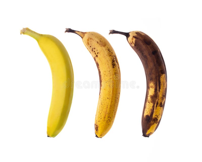 Three Differently Ripe Bananas Stock Photo - Image of bananas, natural ...
