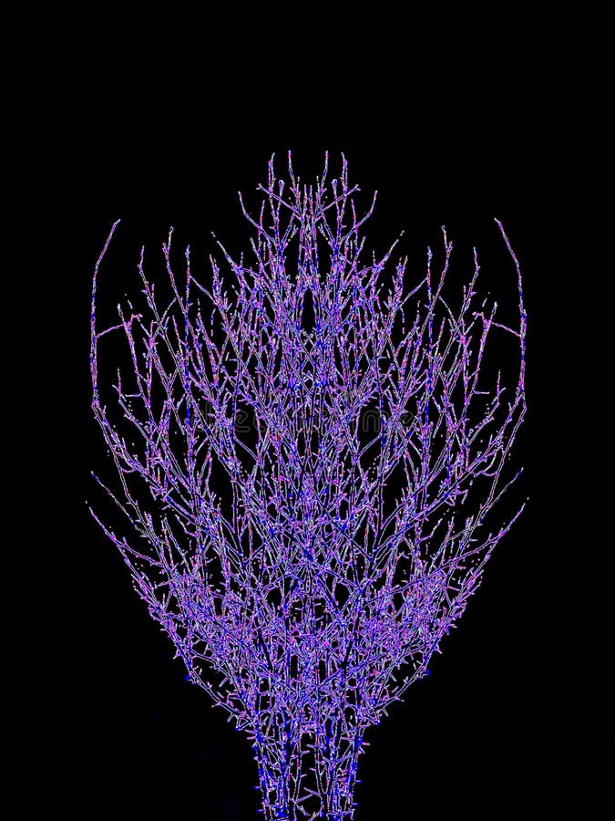 Three-dimensional Image of Tree Branches without Leaves. Stock ...