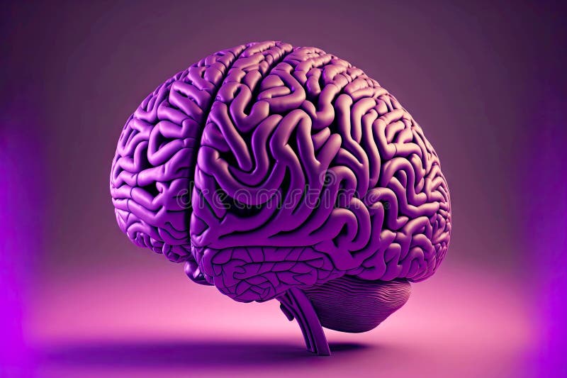 Three-dimensional Model of Human Brain on Bright Purple Background ...