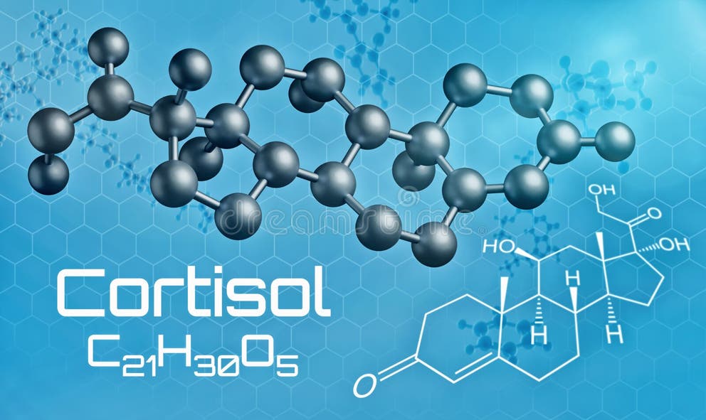 Three-dimensional Molecular Model of Cortisol Stock Illustration ...