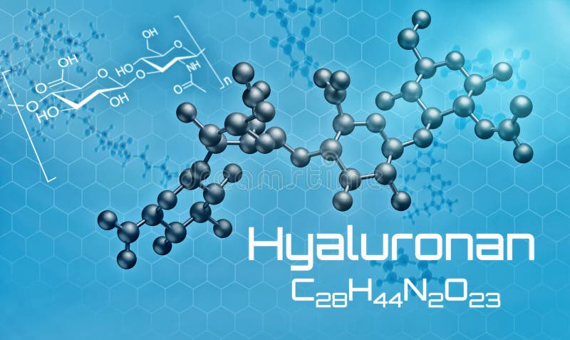 Three-dimensional Molecular Model of Hyaluronan Stock Illustration ...