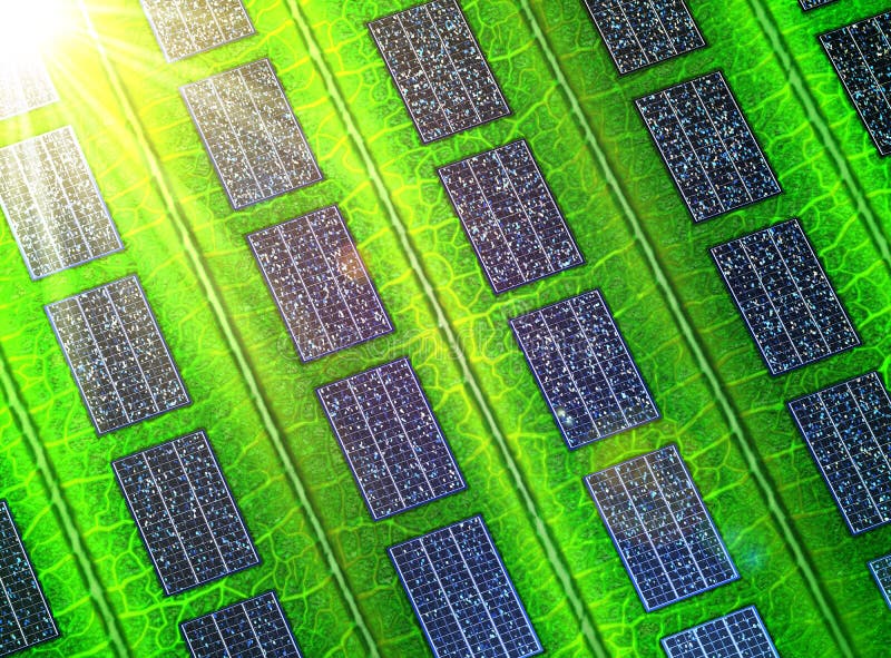 Close-up of a Leaf with Solar Panels Concept Energy Stock Photo - Image ...