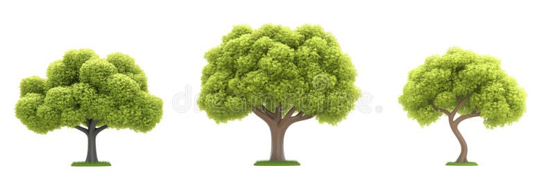 Three Distinct Trees Showcasing Different Shapes and Styles, Vibrant ...