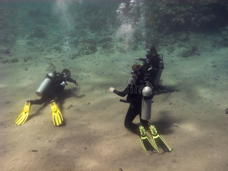Three Divers are Training at the Sea Bottom Stock Image - Image of look ...