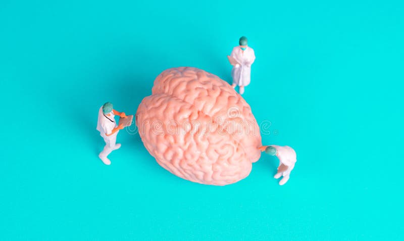 Three Doctors Analyzing a Brain Model in Research Setting Stock Photo ...