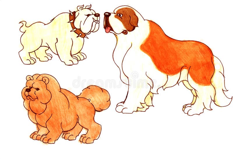 Three Dogs Picture. Image: 9511434