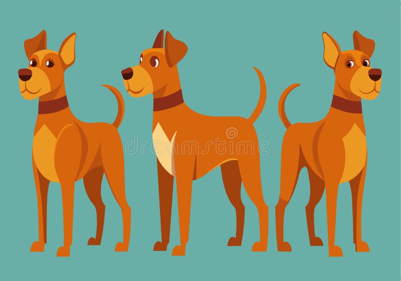 Three Dogs are Standing in a Row, Each with a Different Expression ...