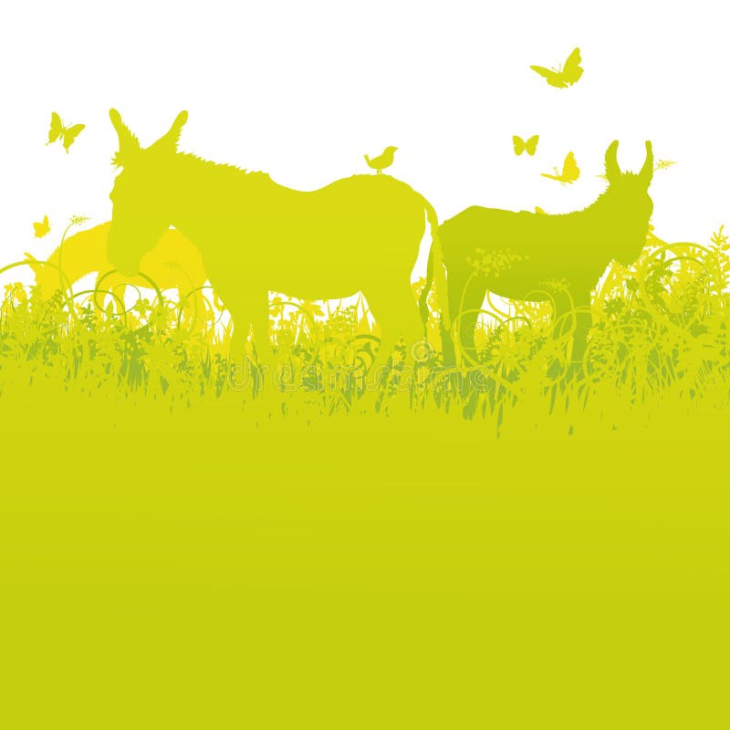 Three Donkeys on the Summer Meadow Stock Vector - Illustration of ...