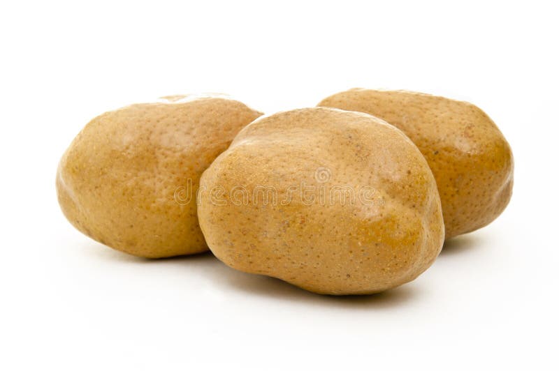 Three Doum Fruits stock photo. Image of energy, akaat - 18135634