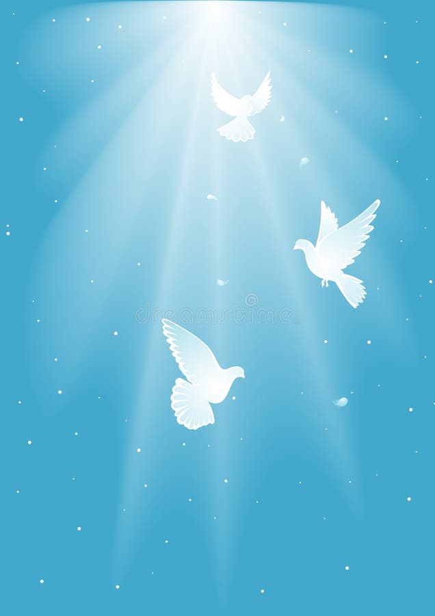 Three dove stock vector. Illustration of peaceful, religious - 18976431
