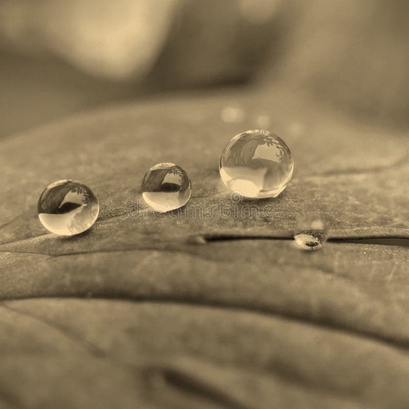 Three drops stock photo. Image of macro, bright, blaze - 72628602