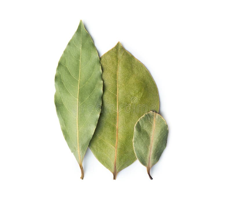 Three Dry Bay Leaves Close-up Isolated on a White Background Stock ...