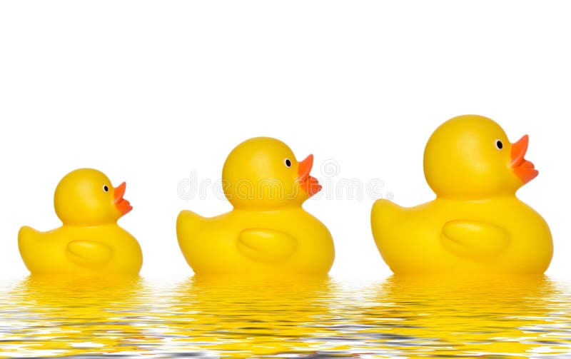 Three ducks stock photo. Image of cute, rubber, squeak - 4080856