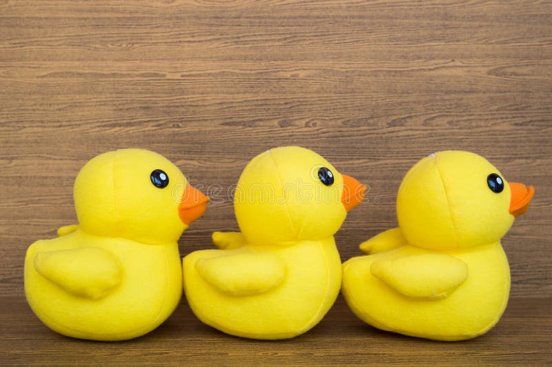 Ducks waiting stock photo. Image of duck, food, colorful - 13932624