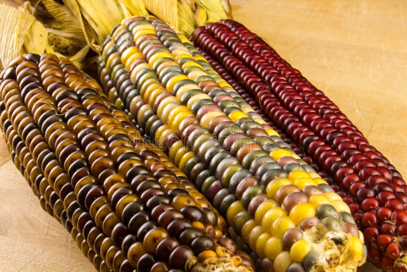 Three Ears Of Indian Corn On A Table Stock Photo - Image of close ...