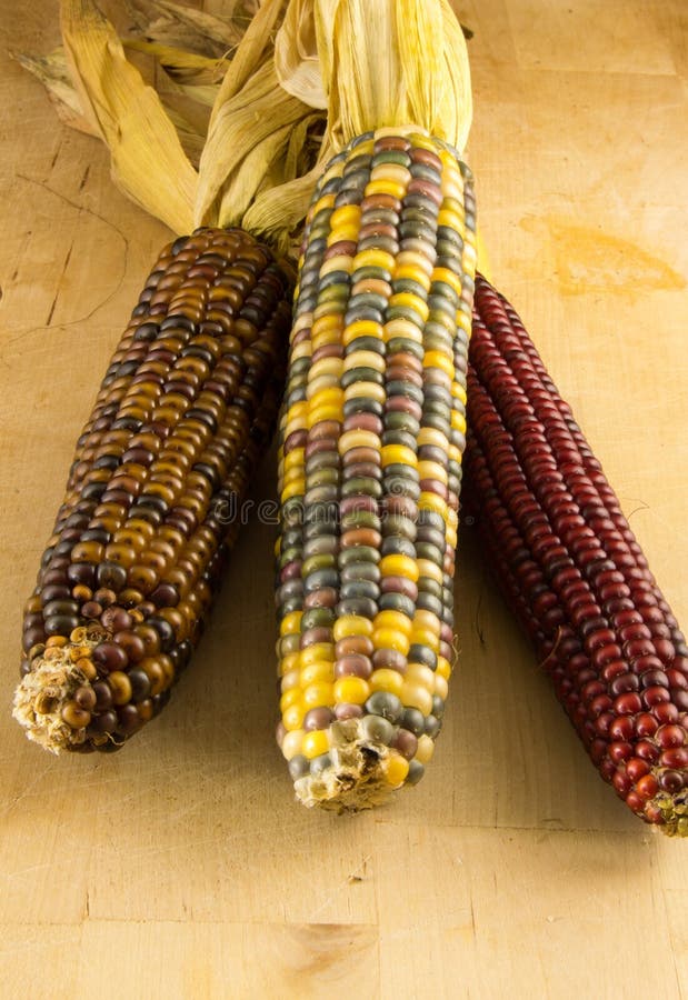 Three Ears Of Indian Corn On A Table Stock Photo - Image of close ...