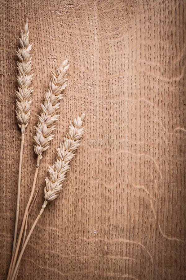 Three Ears of Ripe Wheat on Wooden Background Stock Photo - Image of ...