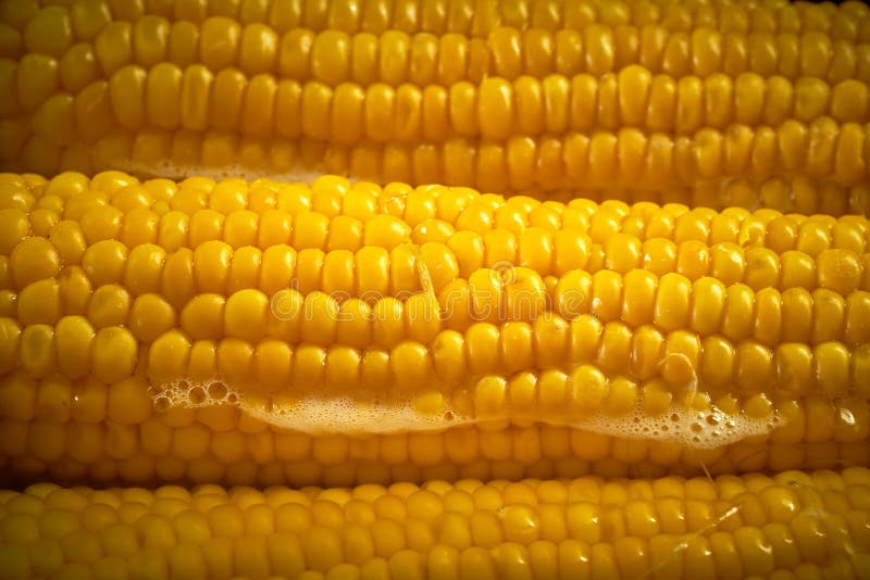 Yellow Corn is Boiled in a Saucepan in the Kitchen Stock Photo - Image ...