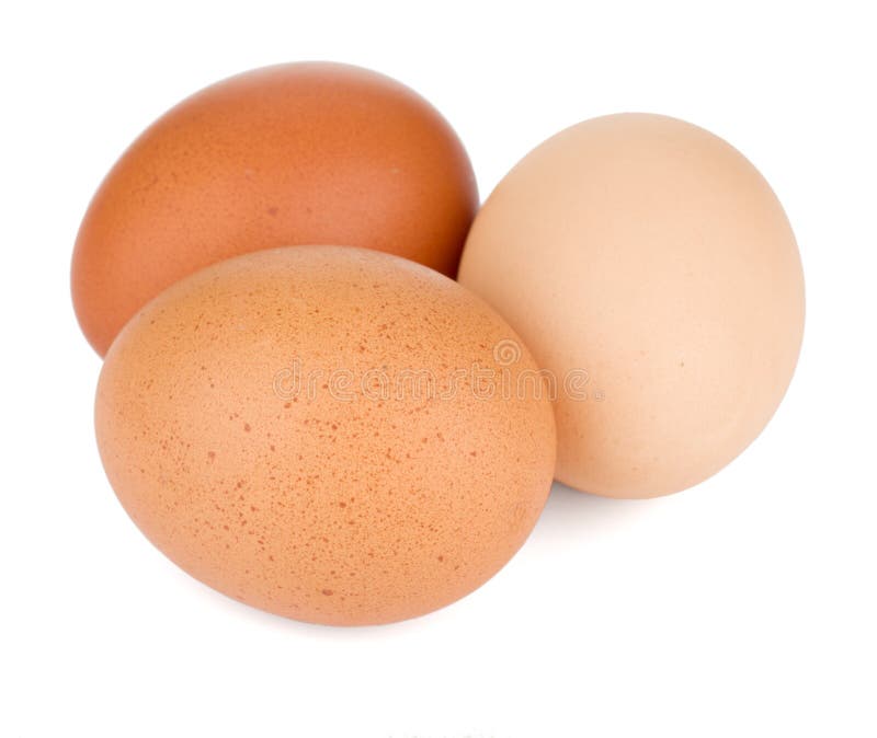 Eggs stock photo. Image of nutrition, life, isolated, background - 9269614