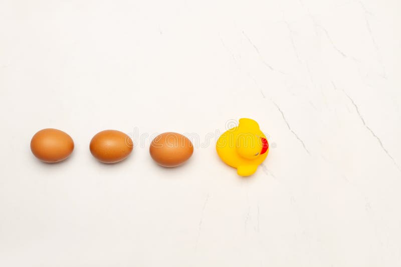 Three Eggs and a Rubber Duck on a Marble Kitchen Counter Stock Photo ...