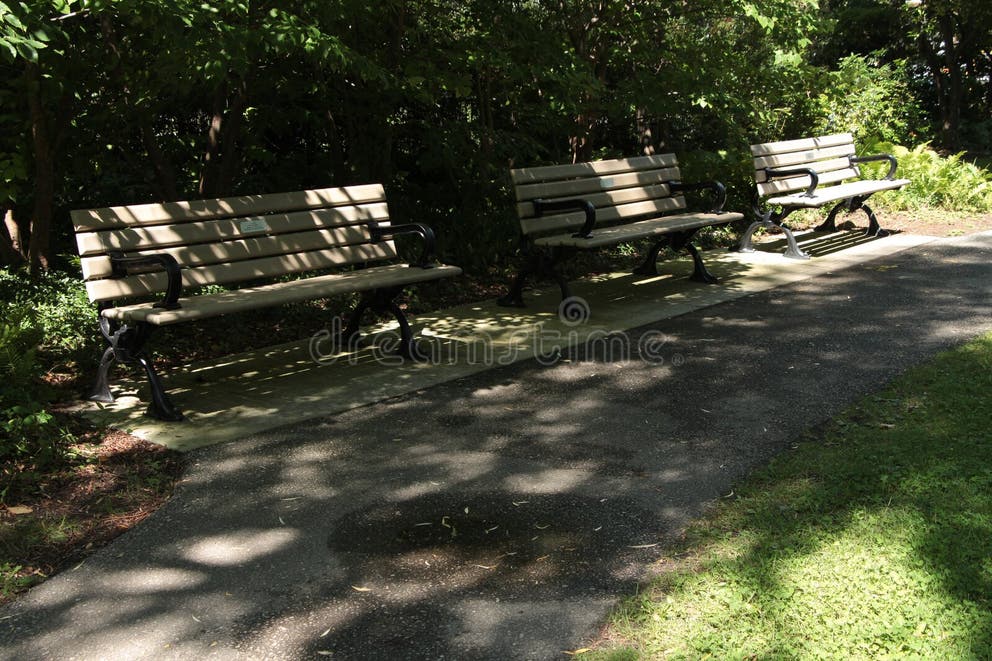 Three Empty Benches in Shade and Sun Next To Path Pathway with Trees ...