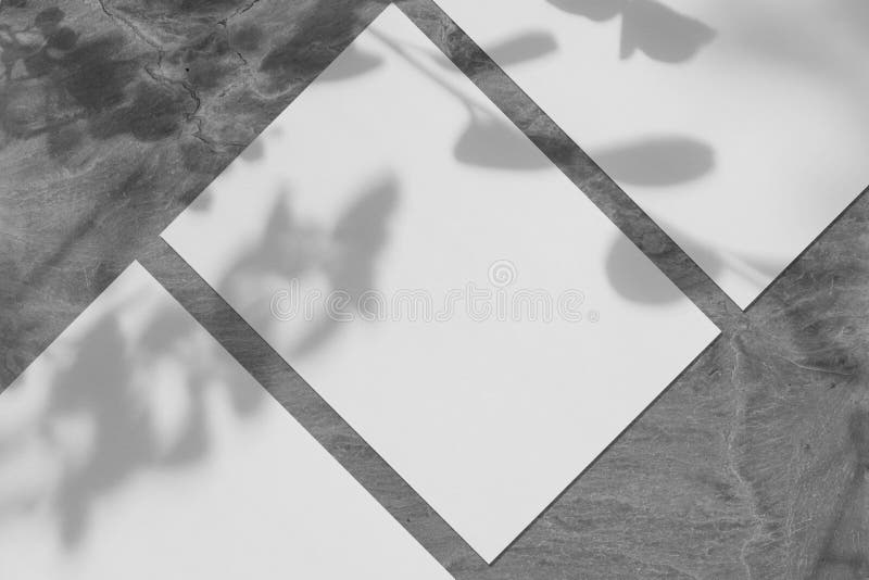 Three Empty White Vertical Rectangle Poster Mockups With Leaves Shadows ...