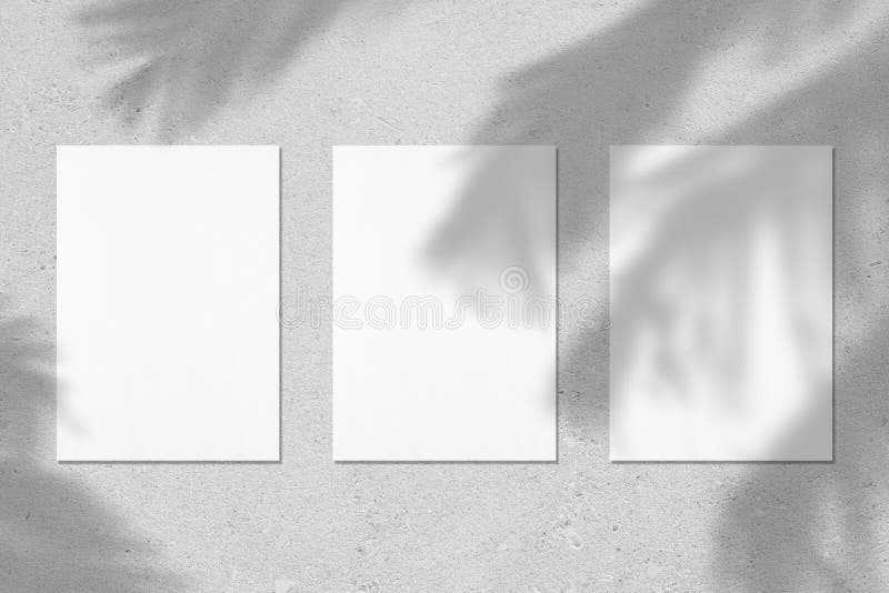 Three Empty White Vertical Rectangle Poster or Card Mockups with Palm ...
