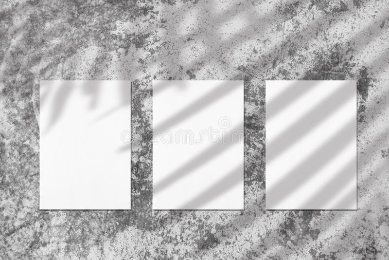 Three Empty White Vertical Rectangle Poster Mockups With Leaves Shadows ...