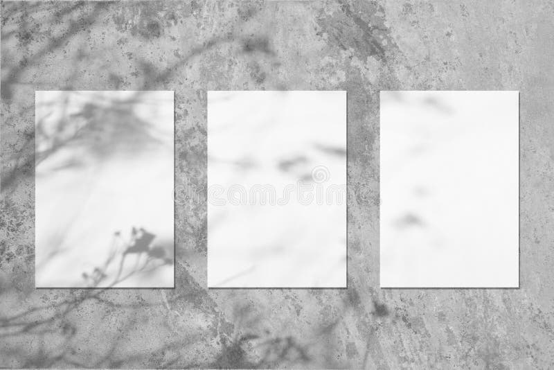 Three Empty White Vertical Rectangle Poster Mockups With Leaves Shadows ...