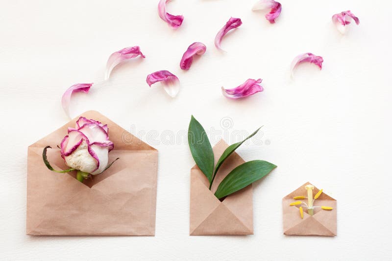 Three Envelopes with Plants Stock Photo - Image of blossom, emotion ...