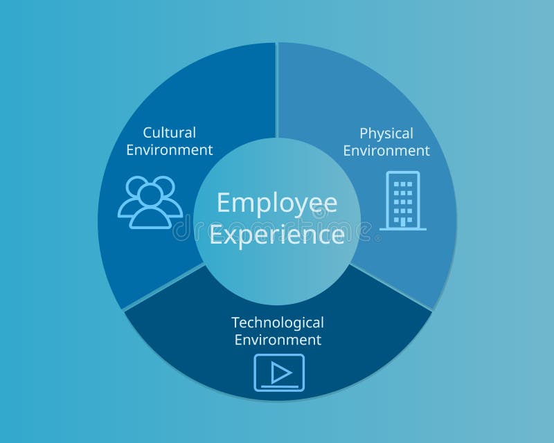Employee Experience Vs Employee Engagement Vector Stock Vector ...