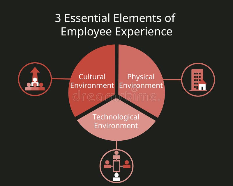 Employee Experience Vs Employee Engagement Vector Stock Vector ...