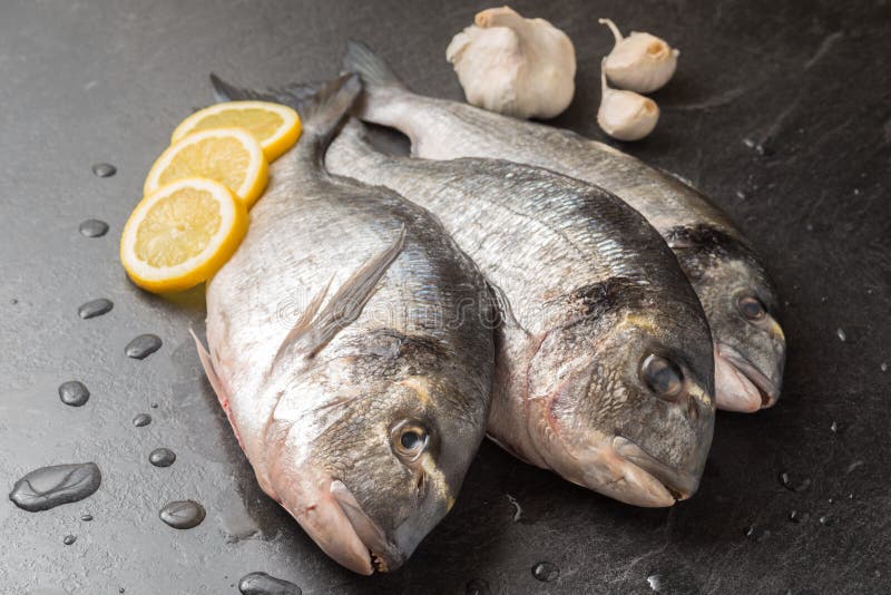 Three Eviscerated Sea Bream Stock Photo - Image of bream, animal: 69564080