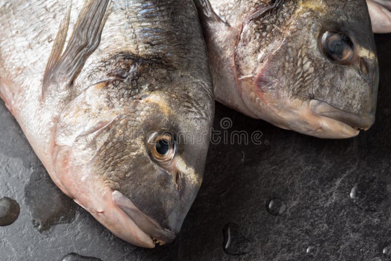 Three Eviscerated Sea Bream Stock Photo - Image of fishing, meal: 69564140