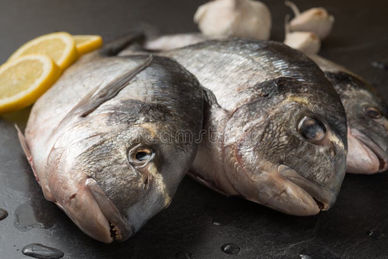 Three Eviscerated Sea Bream Stock Photo - Image of herbs, fishing: 69564390