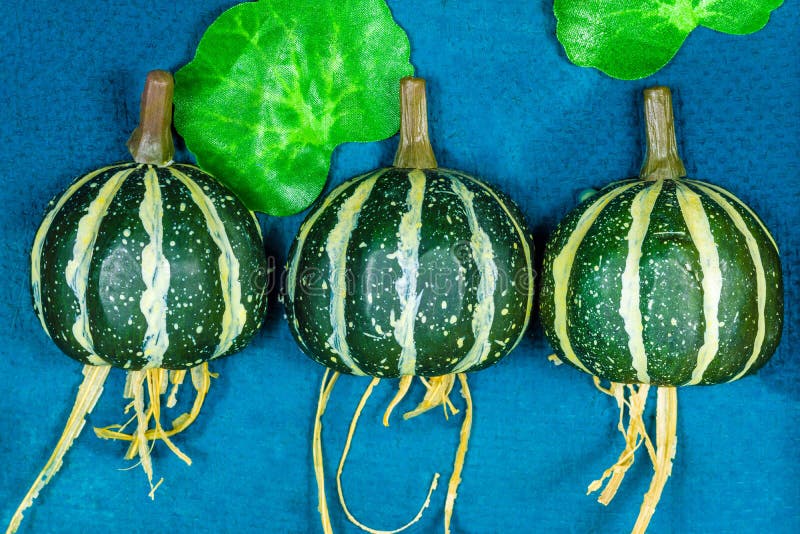 Three Exotic Round Vegetables in Dark Green Color on a Blue Table Stock ...