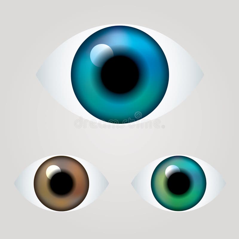 Three eyes stock vector. Illustration of reflection, anatomy - 88416305