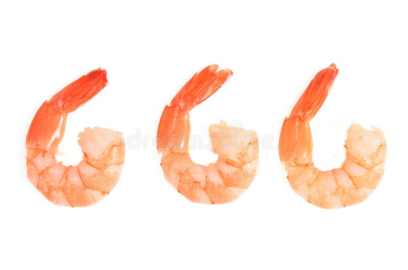 Three fantail prawns stock image. Image of three, pink - 6467875