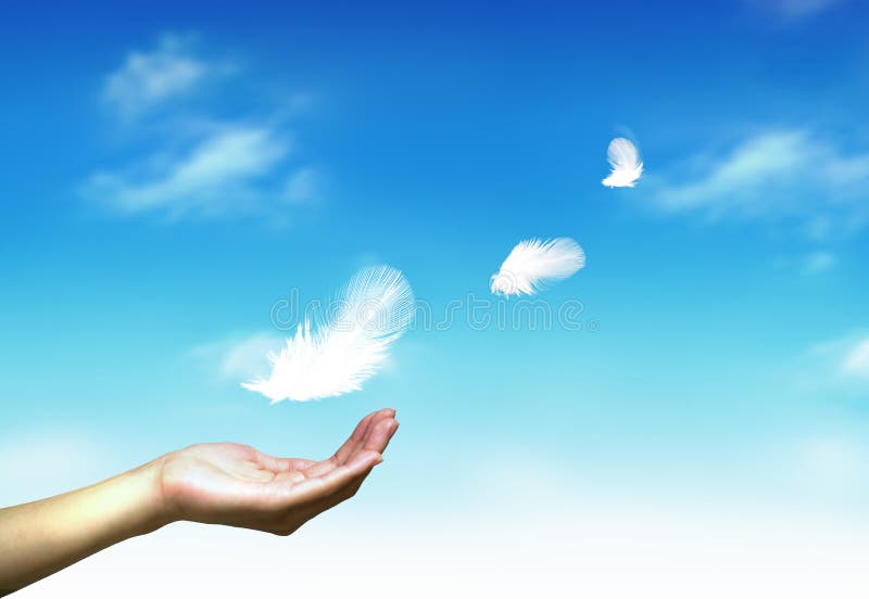 Feathers falling stock image. Image of fluffy, green - 12691441