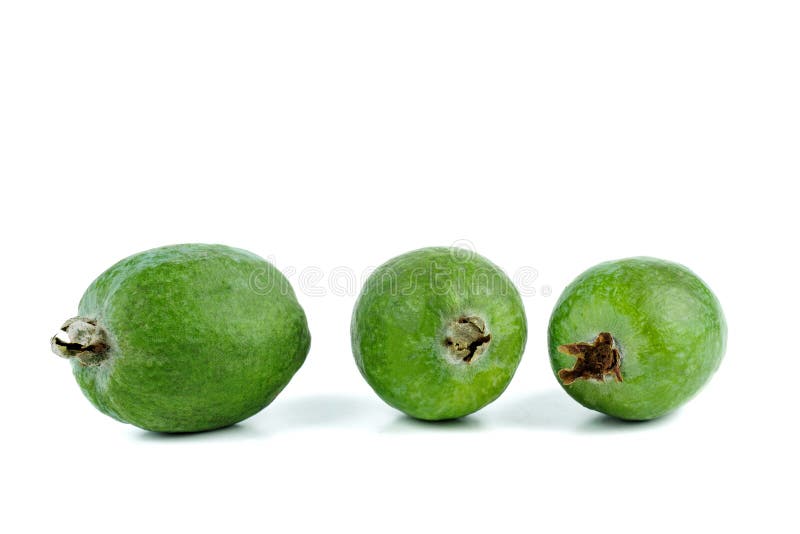 Three Feijoa Fruits with Leaves. Stock Image - Image of fruit, exotic ...