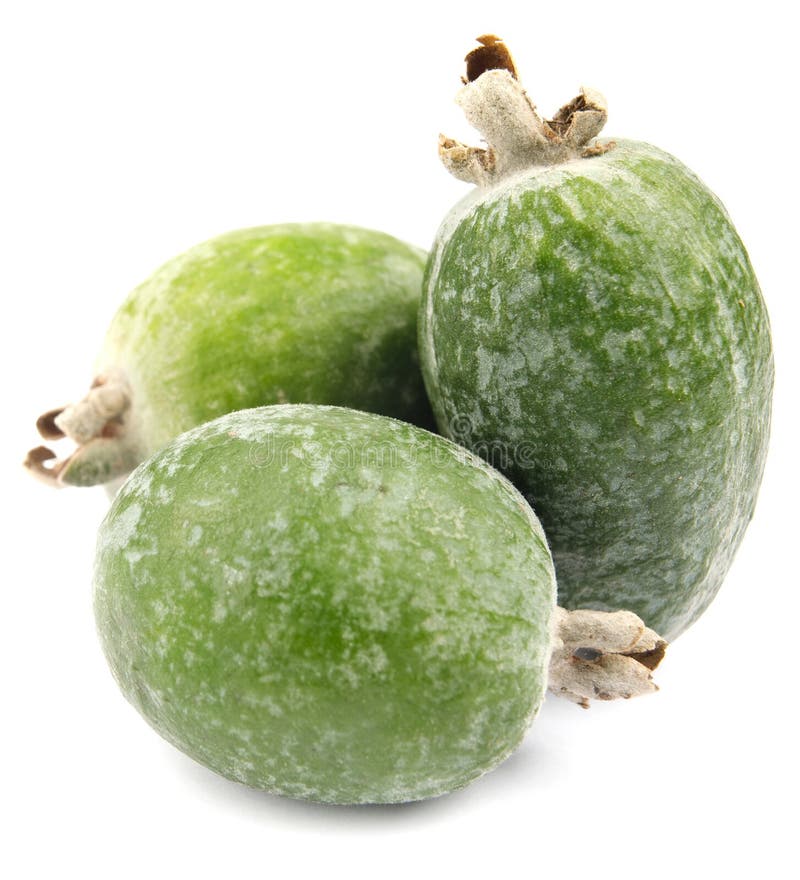 Three Feijoa Fruits with Leaves. Stock Image - Image of fruit, exotic ...