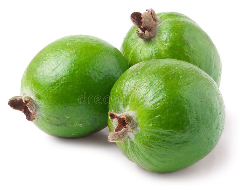 Feijoa on white stock photo. Image of food, healthy, sellowiana - 37048534