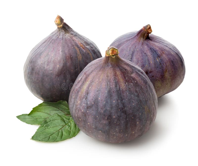 Three figs stock photo. Image of group, closeup, purple - 34070594