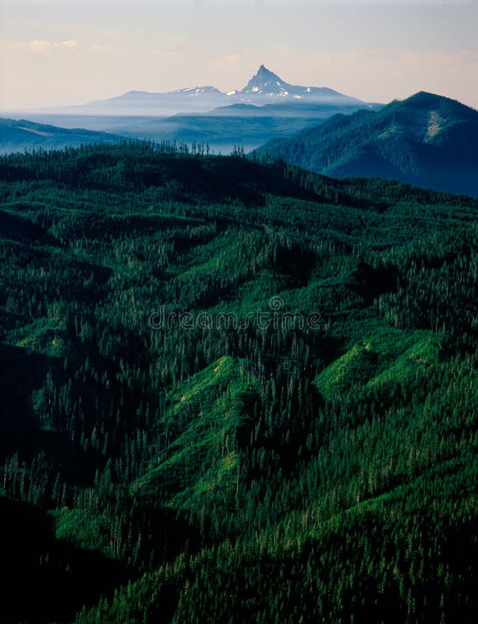 Three-Fingered Jack from Gold Butte at Sunrise, Mount Jefferson ...